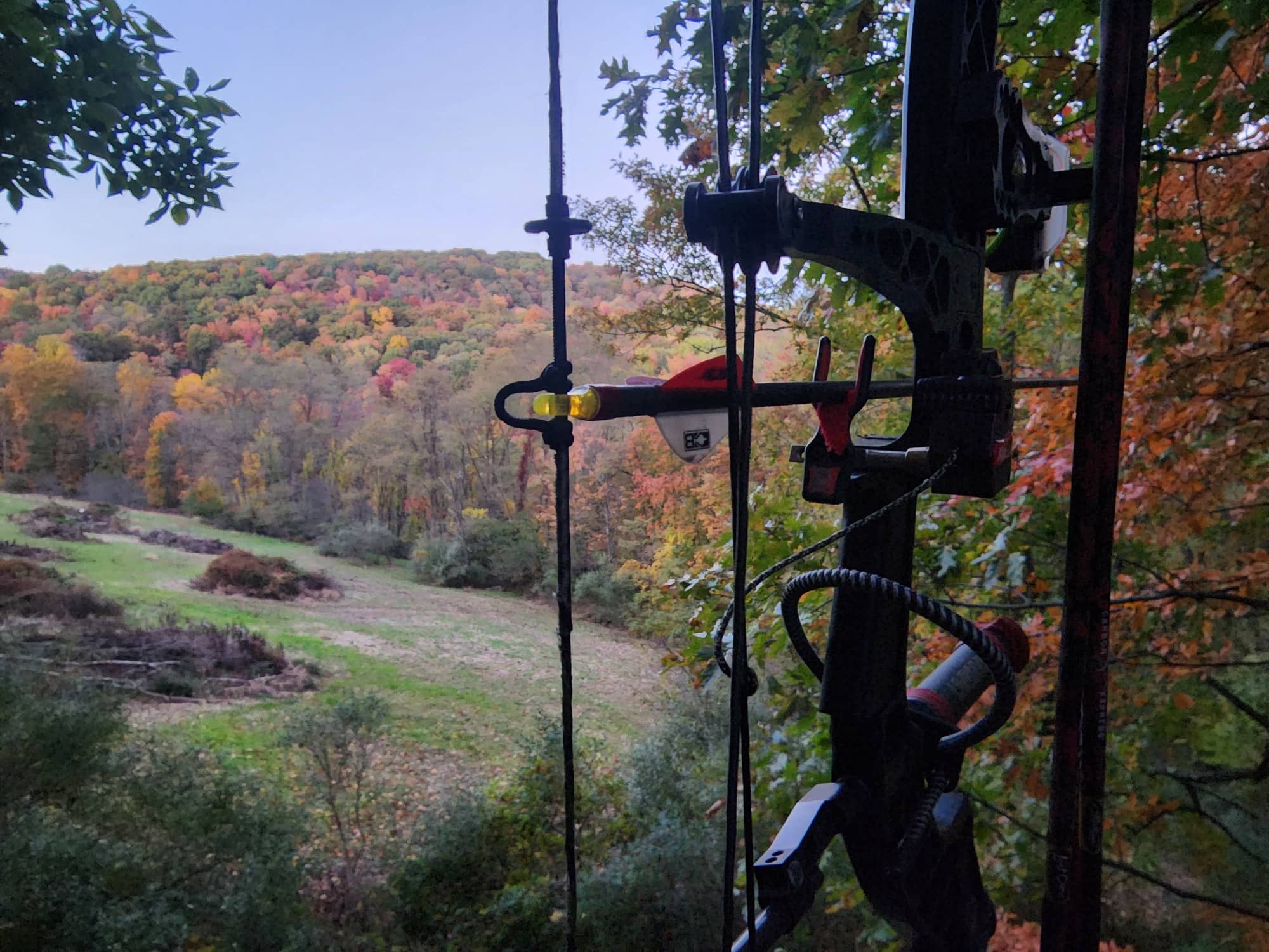 5 Early Season Archery Hunting Tips for Mature Bucks - TrophyTracks ...